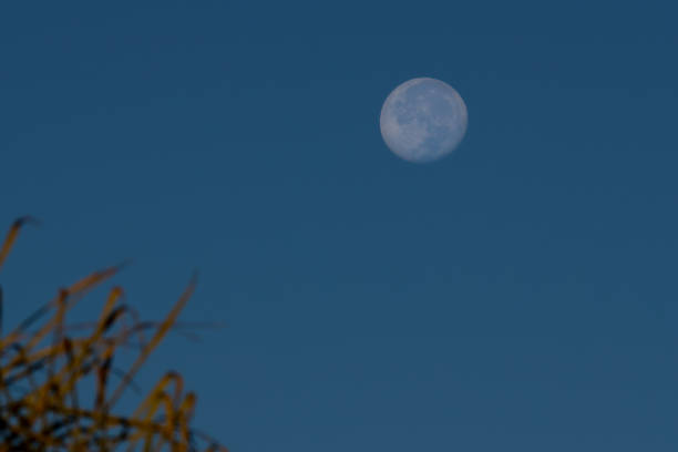 Free Stock Photo of Daytime sky with a visible full moon | Download ...