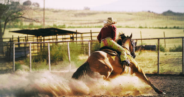 Free barrel ride stock photos. Download the best free barrel ride ...