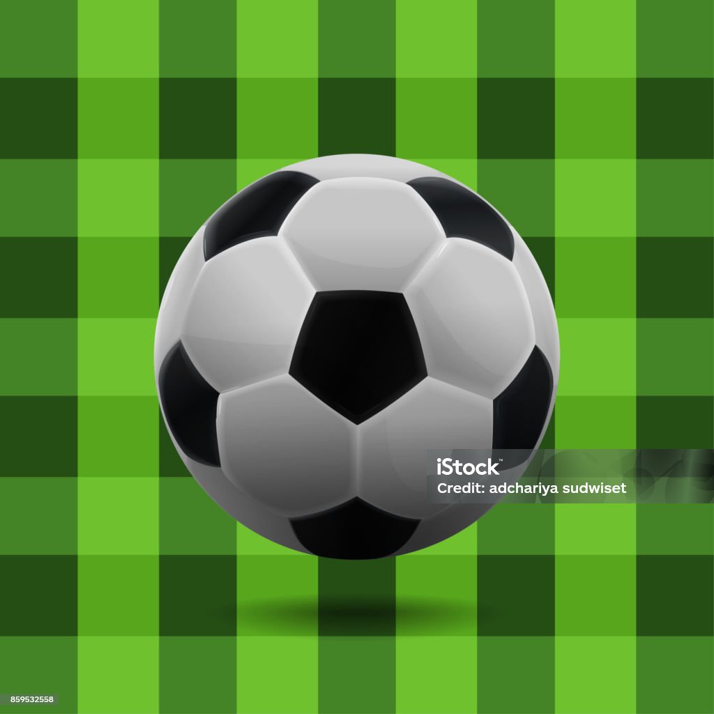 Soccer Ball Black And White Color On Green Background Vector