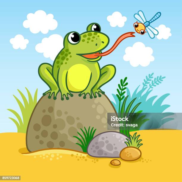 Katak Duduk Di Atas Batu Besar Ilustrasi Stok Unduh Gambar Sekarang