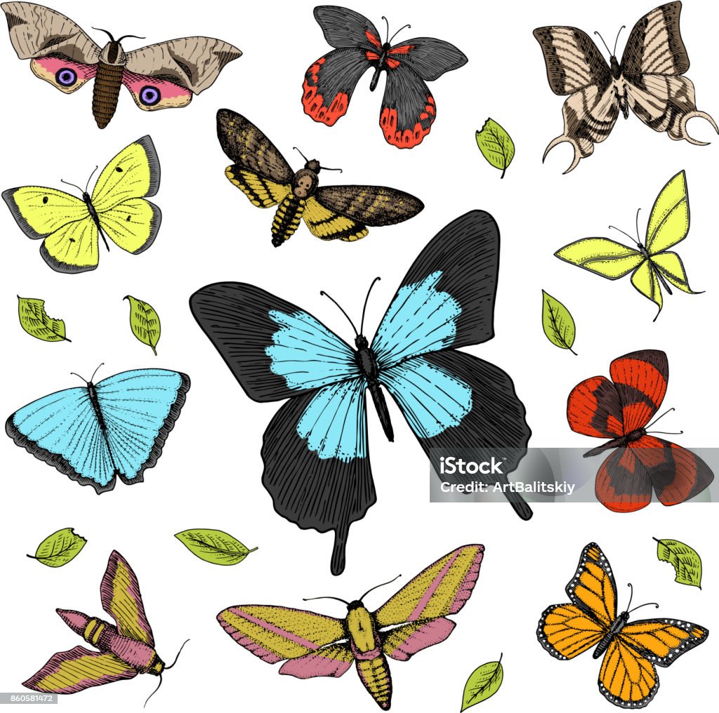 Tato Atau Kaos Boho Atau Desain Scrapbooking Simbol Esoteris Mistis