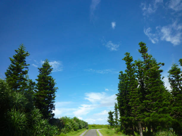 30,000+ Free Biue Sky & Sky Images - Pixabay