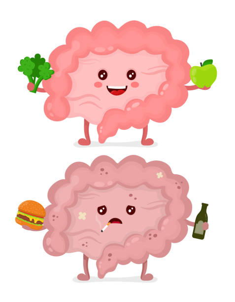 100+ Cartoon Of The Colon Cancer Stock Illustrations, Royalty-Free ... 100+ Cartoon Of The Colon Cancer Stock Illustrations, Royalty-Free ...