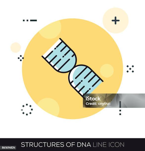 Dna 라인 아이콘의 구조 Dna에 대한 스톡 벡터 아트 및 기타 이미지 Dna 개념 개체 그룹 Istock