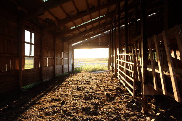 Free Stock Photo of Sun shines into an old barn | Download Free Images ...