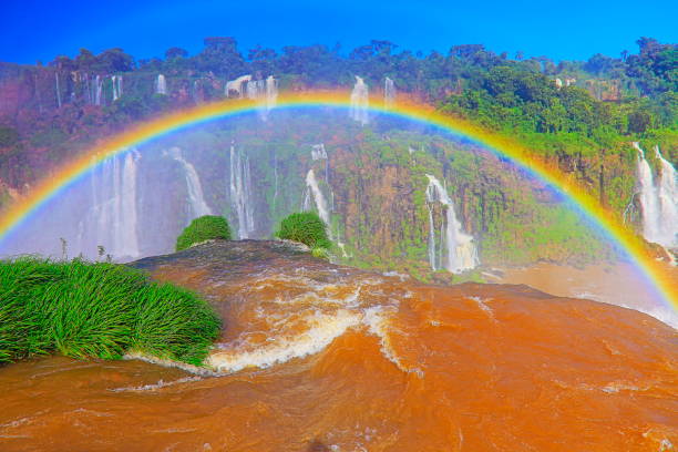 Paraguay Landscape