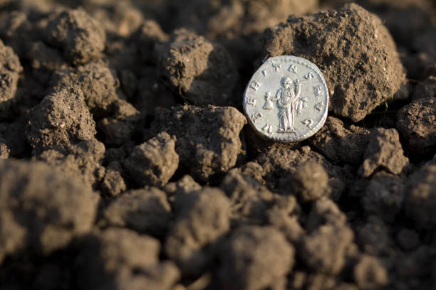 Free Stock Photo of Coins in Mud | Download Free Images and Free ...