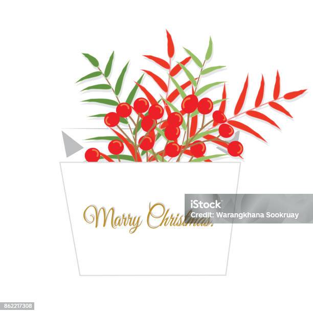 Chrismas 카드와 새 해 카드 흰 꽃 흰 상자 Opulus가 막 살 나무속 잎 카드에 대 한 벡터입니다 벡터는 추적 또는