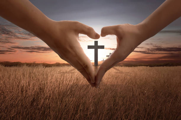 Cross Heart Pictures | Download Free Images on Unsplash