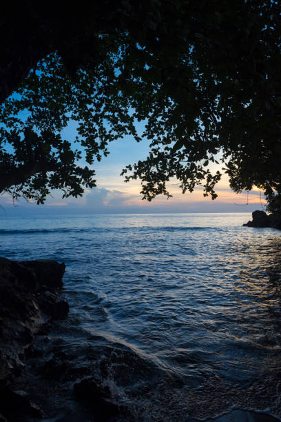 madang Premium Photos, Pictures and Images by Istock