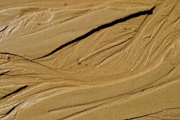 Free picture: beach, sandbar, soil, sand, texture, seashore, desert ...