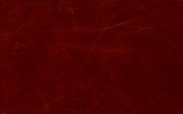 Red Leather Pictures | Download Free Images on Unsplash