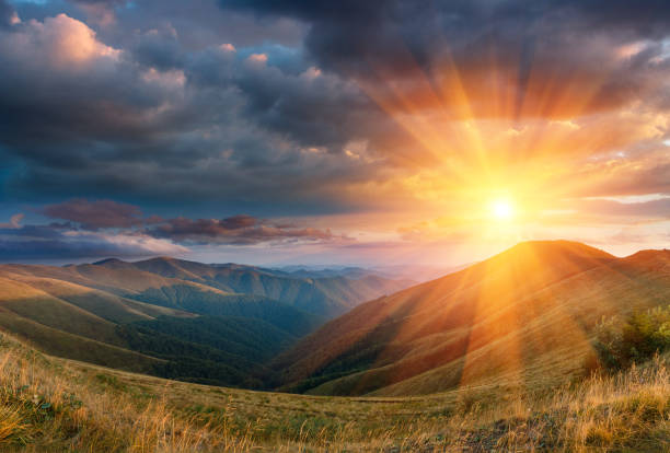 Free picture: idyllic, sunrays, sunset, sunshine, nature, dawn ...
