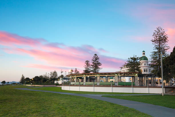 Free picture: napier, waterfront