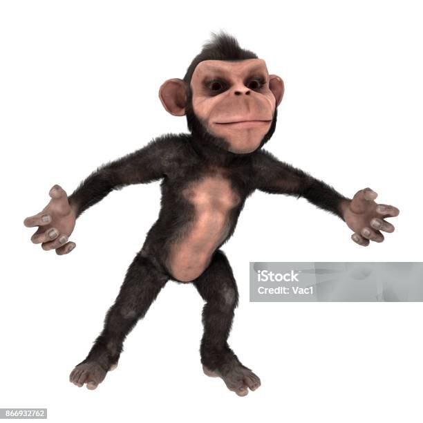 3d 렌더링 화이트에 작은 침팬지 0명에 대한 스톡 사진 및 기타 이미지 0명 귀여운 독일 Istock