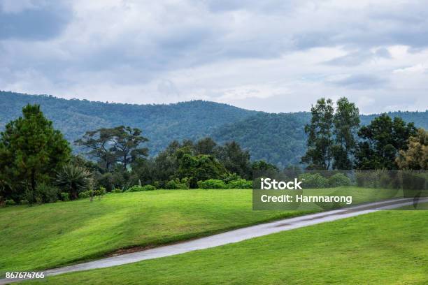 Lanskap Padang Rumput Hijau Dan Lapangan Persimpangan Jalan Beton ... Lanskap Padang Rumput Hijau Dan Lapangan Persimpangan Jalan Beton ...