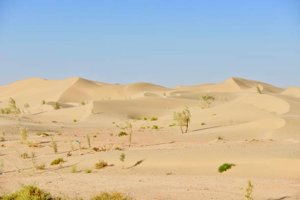 karakum-desert Premium Photos, Pictures and Images by Istock