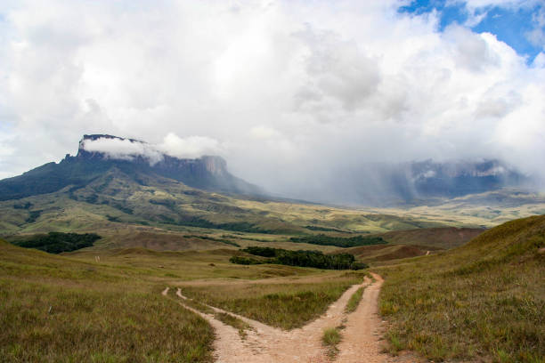 Sabana Pictures | Download Free Images on Unsplash