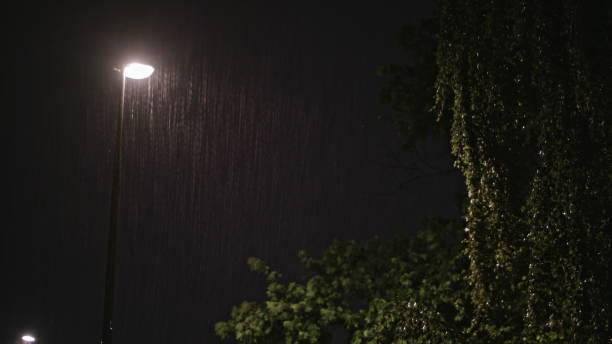 Free Stock Photo of Lamp post reflection on rainy ground | Download ...