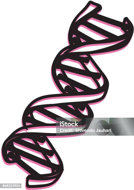 Dna 개발 추상그림 0명에 대한 스톡 벡터 아트 및 기타 이미지 0명 Dna 개념 Istock