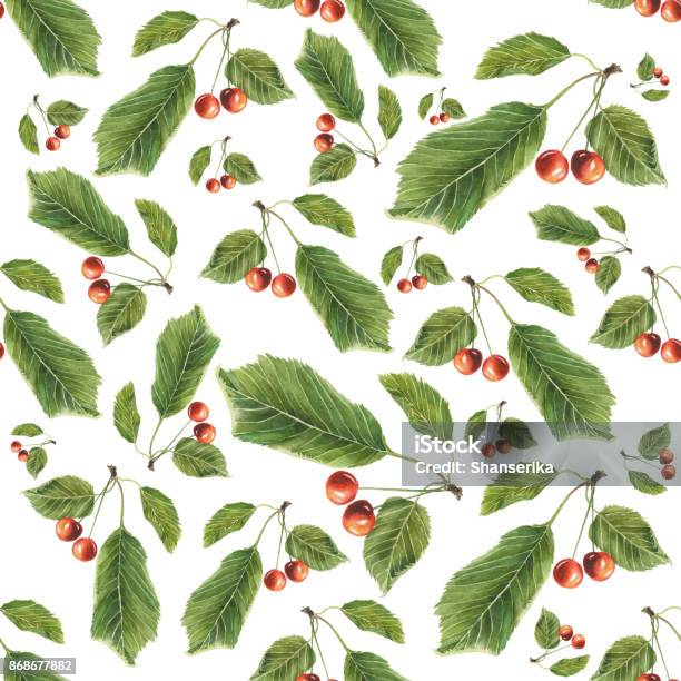 Cherry Berry Dan Daun Di Latar Belakang Putih Cat Air Buatan Tangan Pola Warnawarni Yang Mulus