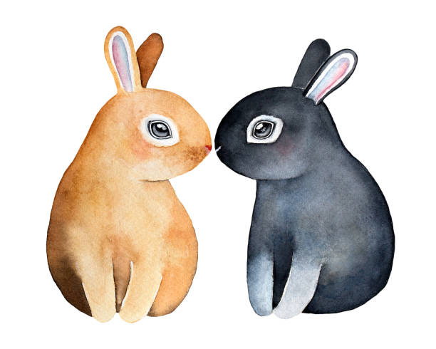 Cute Cartoon Bunnies With Big Eyes