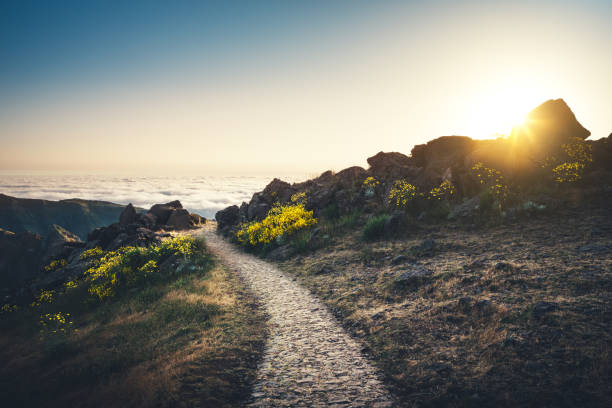 Best 500+ Mountain Path Pictures [HD] | Download Free Images on Unsplash