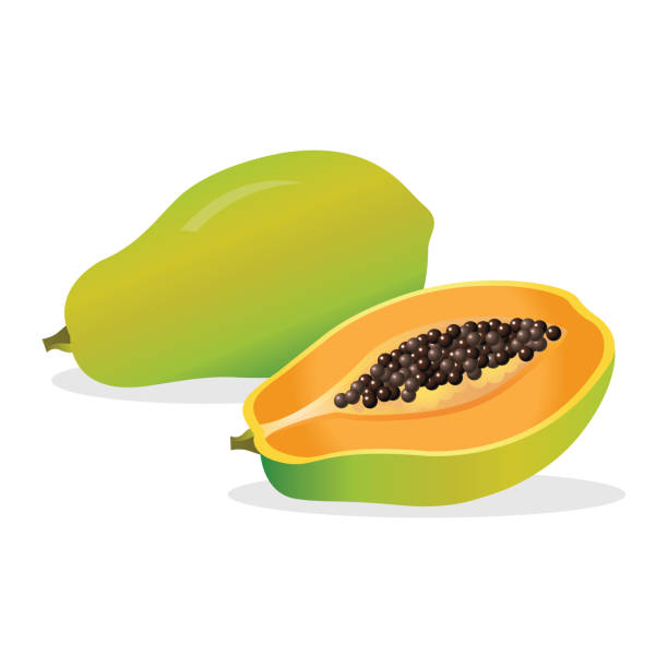 Pepaya Ilustrasi, Grafik Vektor & Clip Art Bebas Royalti - iStock Pepaya Ilustrasi, Grafik Vektor & Clip Art Bebas Royalti - iStock