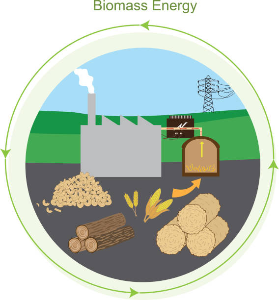2 700 Renewable Energy Biomass Stock Illustrations Royalty Free