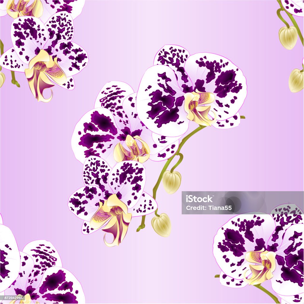 Seamless Texture Stem Orchid Phalaenopsis Spotted White And Purple