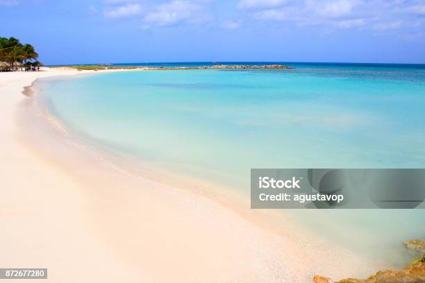 Palapas And Idyllic Palm Beach Tropical Beach Sunny Turquoise Blue