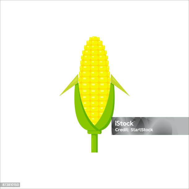 Vektor Jagung Kuning Dalam Gaya Datar Terisolasi Pada Latar Belakang ... Vektor Jagung Kuning Dalam Gaya Datar Terisolasi Pada Latar Belakang ...