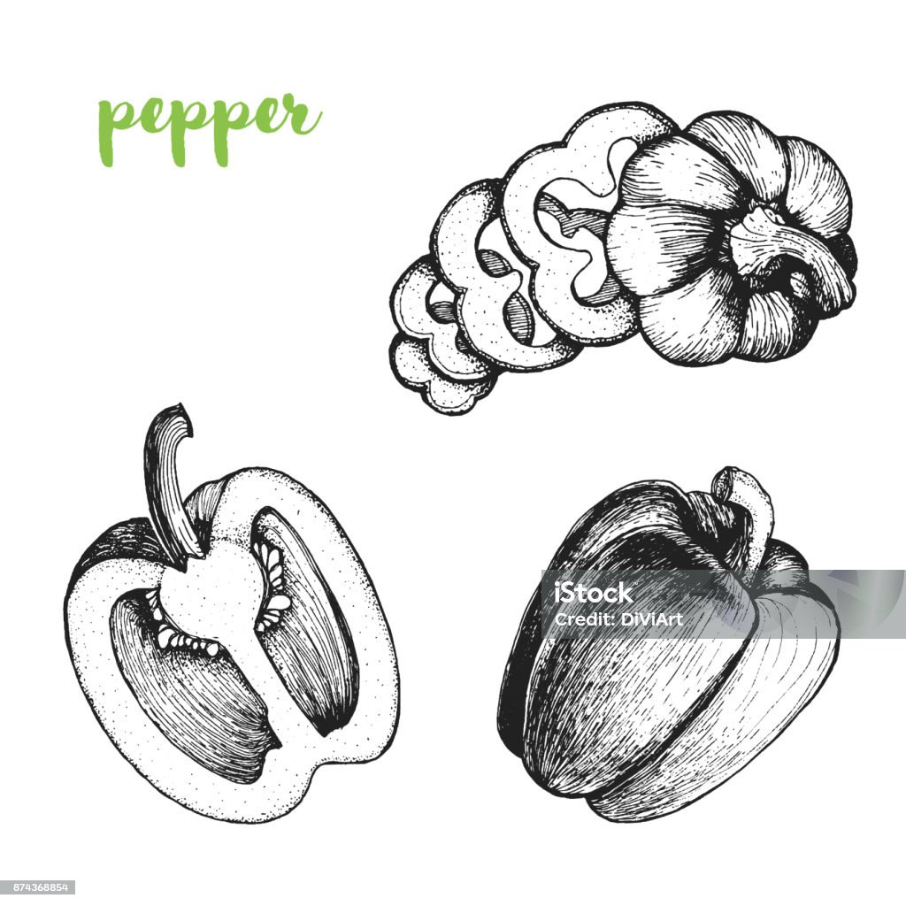 Ilustrasi Vektor Lada Gambar Terukir Ilustrasi Makanan Sketsa Sayuran ... Ilustrasi Vektor Lada Gambar Terukir Ilustrasi Makanan Sketsa Sayuran ...