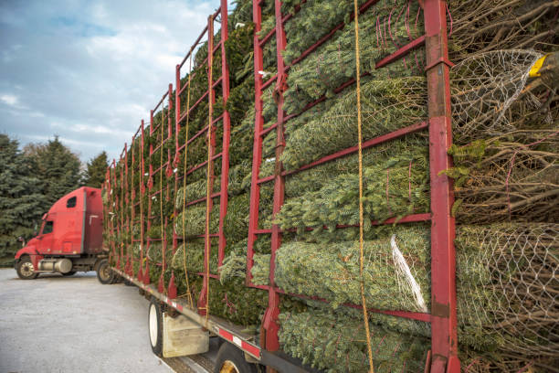 Free Stock Photo of Red Toy Truck Transporting Christmas Tree ...