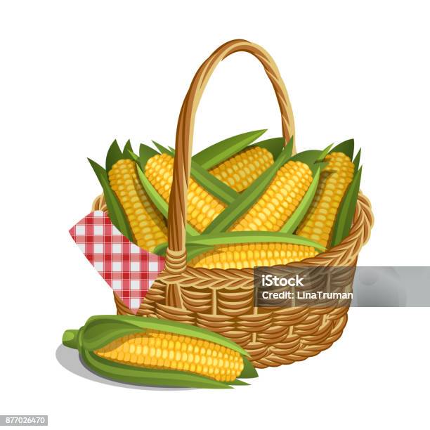 Jagung Kuning Dalam Keranjang Diisolasi Di Atas Putih Ilustrasi Vektor ... Jagung Kuning Dalam Keranjang Diisolasi Di Atas Putih Ilustrasi Vektor ...