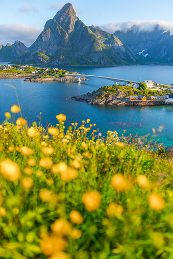 Lofoten 여름 풍경 로포텐에 대한 스톡 사진 및 기타 이미지 로포텐 여름 노르웨이 Istock