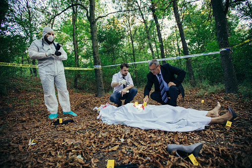 Photo Libre De Droit De Scène De Crime Dans La Forêt Banque Dimages Et
