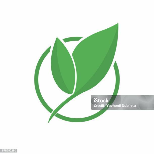 Symbole De Lécologie Symbole De Feuille Verte Eco Abstraite Icône Eco