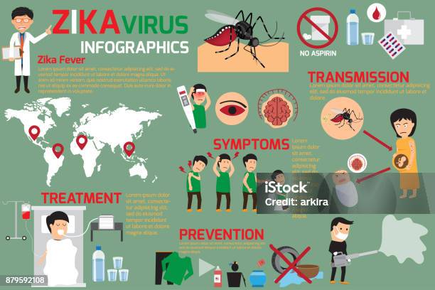 Zika Virus Infographic Elements Transmission Prevention Symptoms And ... Zika Virus Infographic Elements Transmission Prevention Symptoms And ...