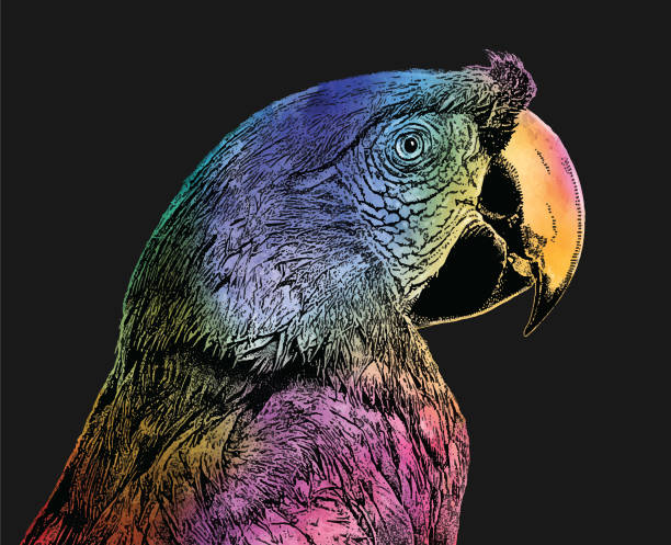 Download Avatar, Beak, Black. Royalty-Free Vector Graphic - Pixabay