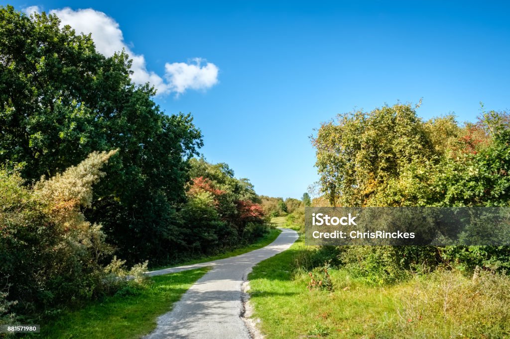 Schiermonnikoog 의 웨 덴 섬에 자전거 차선 0명에 대한 스톡 사진 및 기타 이미지 0명 9월 가을 Istock