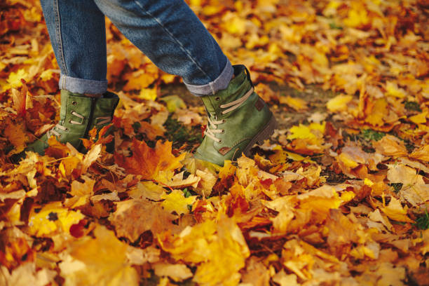 Free Stock Photo of Autumn vibes with boots stepping on fallen leaves ...
