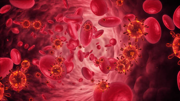Best 500+ Blood Wallpapers | Download Free Images on Unsplash