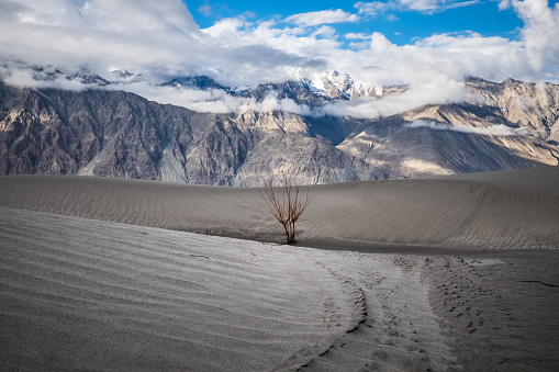 Ladakh 인도에 누 브라 밸리 주변 풍경 강에 대한 스톡 사진 및 기타 이미지 강 경관 고속도로 Istock