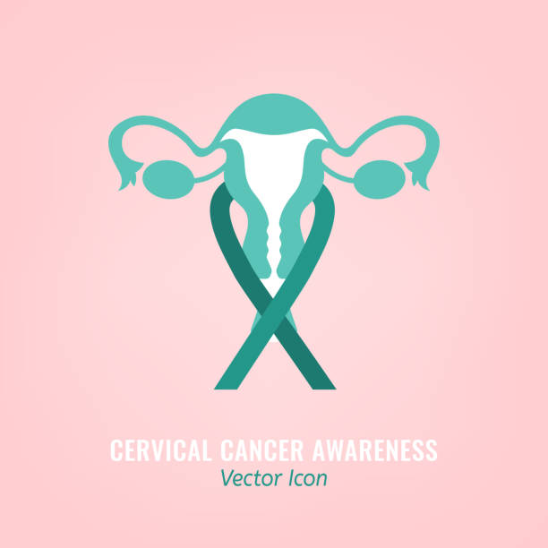 1 300 Cancer Cervix Stock Illustrations Royalty Free Vector Graphics