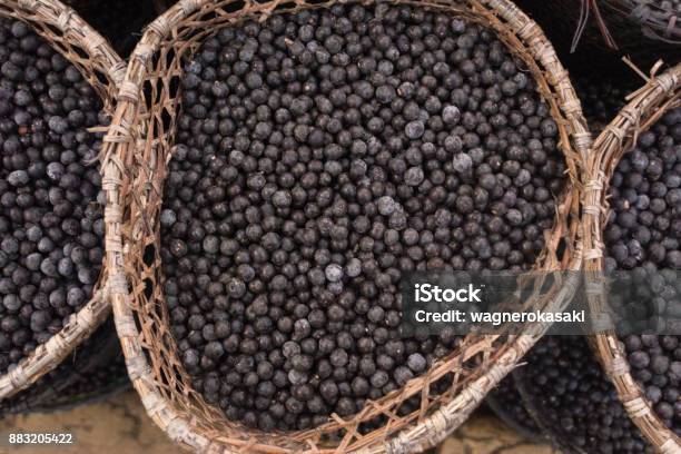 Acai 베리 브라질의 아마존 바구니에 표시에서 작은 Superfruit 0명에 대한 스톡 사진 및 기타 이미지 0명