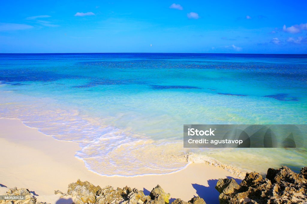 Idyllic Arashi Tropical Turquoise Beach Aruba Sunny Blue Lagoon Summer