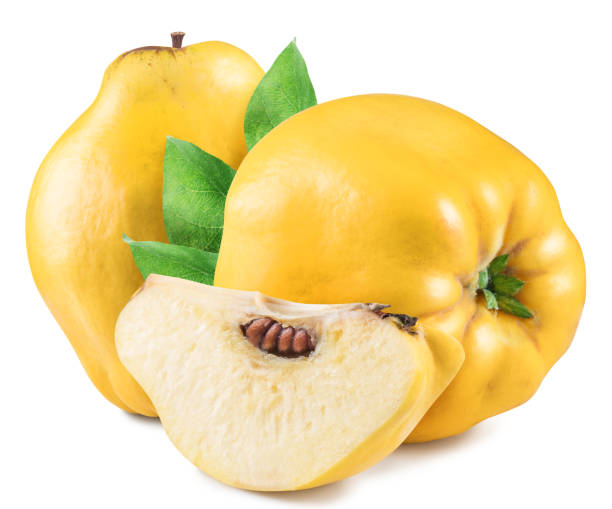 30+ Quince free images