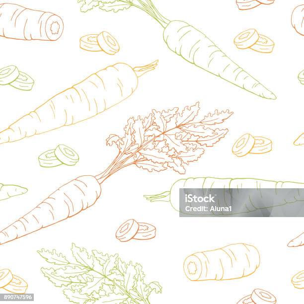 Ilustración De Vector De Ilustración De Zanahoria Color Gráfica Dibujo