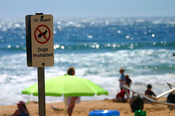 Free Stock Photo of No Dogs Allowed Sign on Beach | Download Free ...